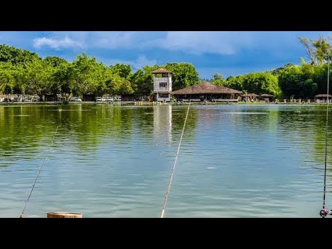 Um dos melhores pesqueiros do Brasil - YouTube