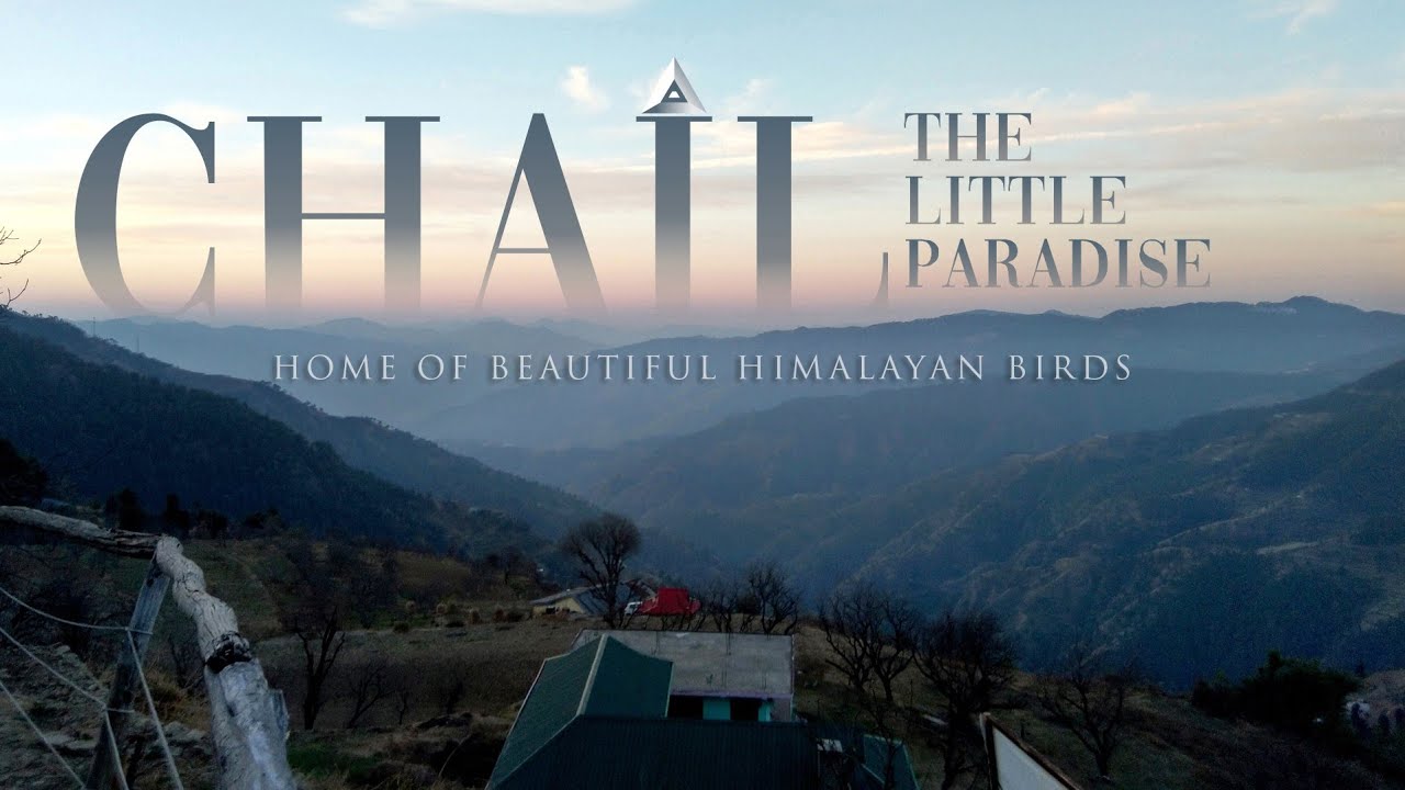 Chail - The Little Paradise | Exploring Chail | Chail Wildlife ...