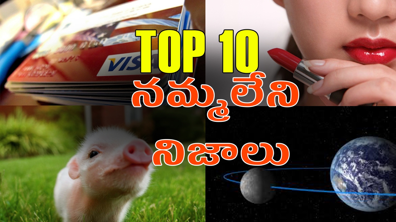 top-10-unknown-real-facts-in-telugu-most-interesting-facts-youtube