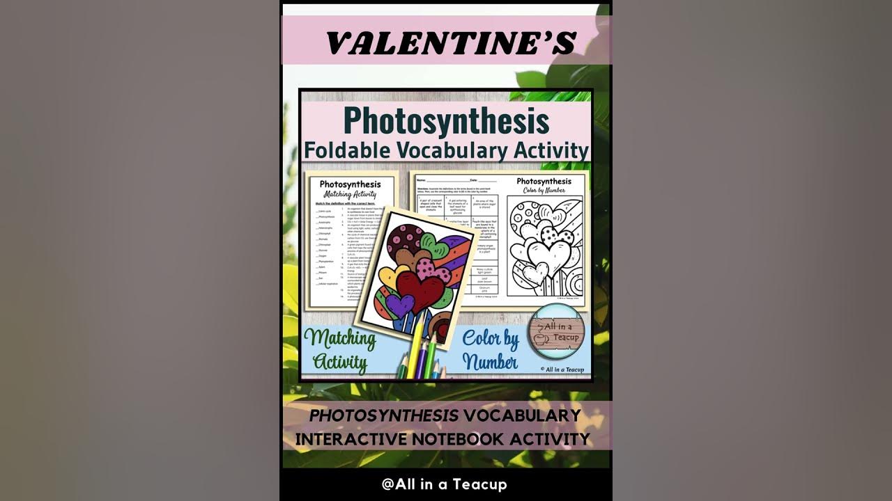 Photosynthesis Vocabulary Valentines Foldable Match & Color by Number ...
