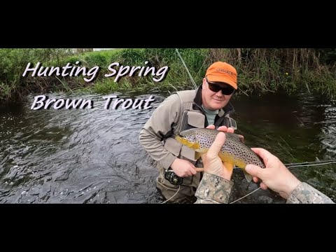 Hunting Spring Brown Trout - YouTube