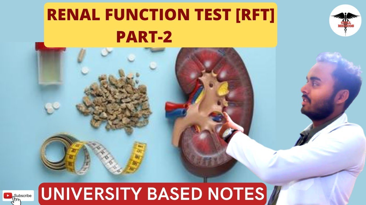 Renal function test [RFT] || part-2. - YouTube