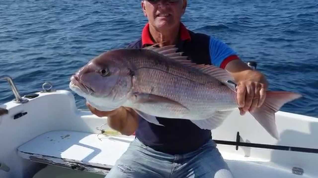 PESCA DE PARGOS al vivo con calamares video de ANTONIO JIMENEZ - YouTube