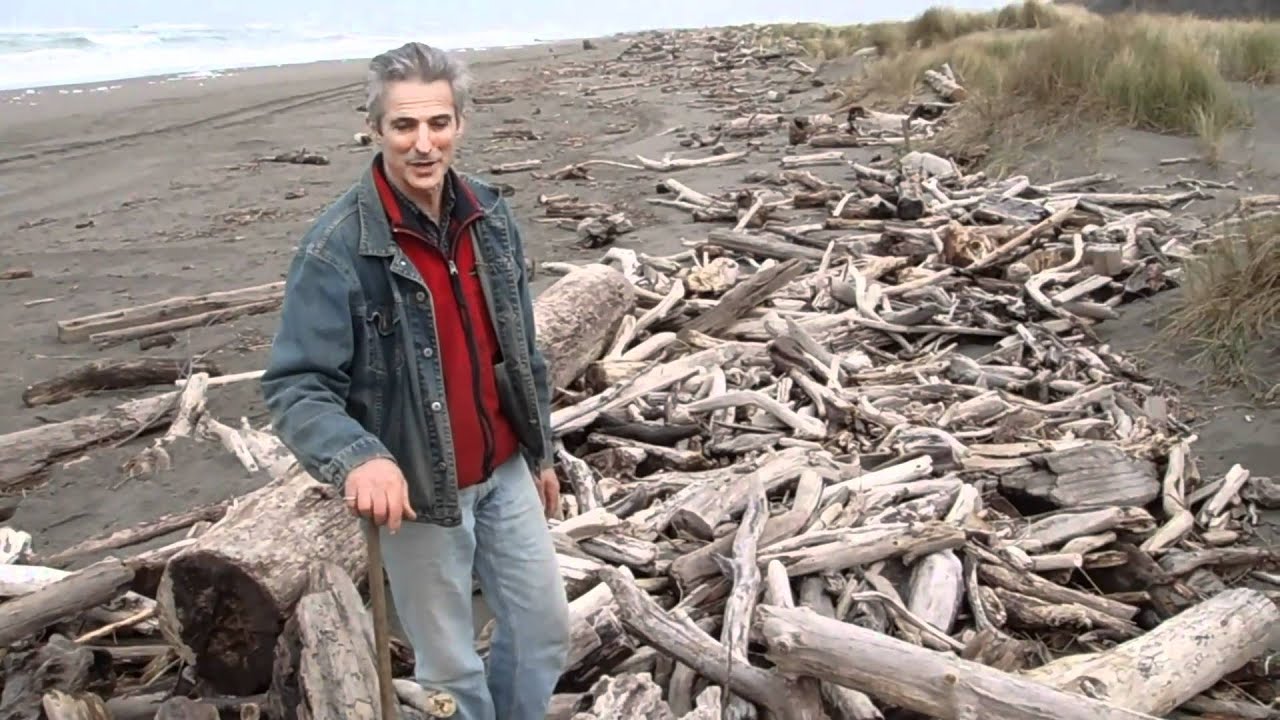 Reclaiming myrtlewood from the beach. David Groth documentary, chapter ...