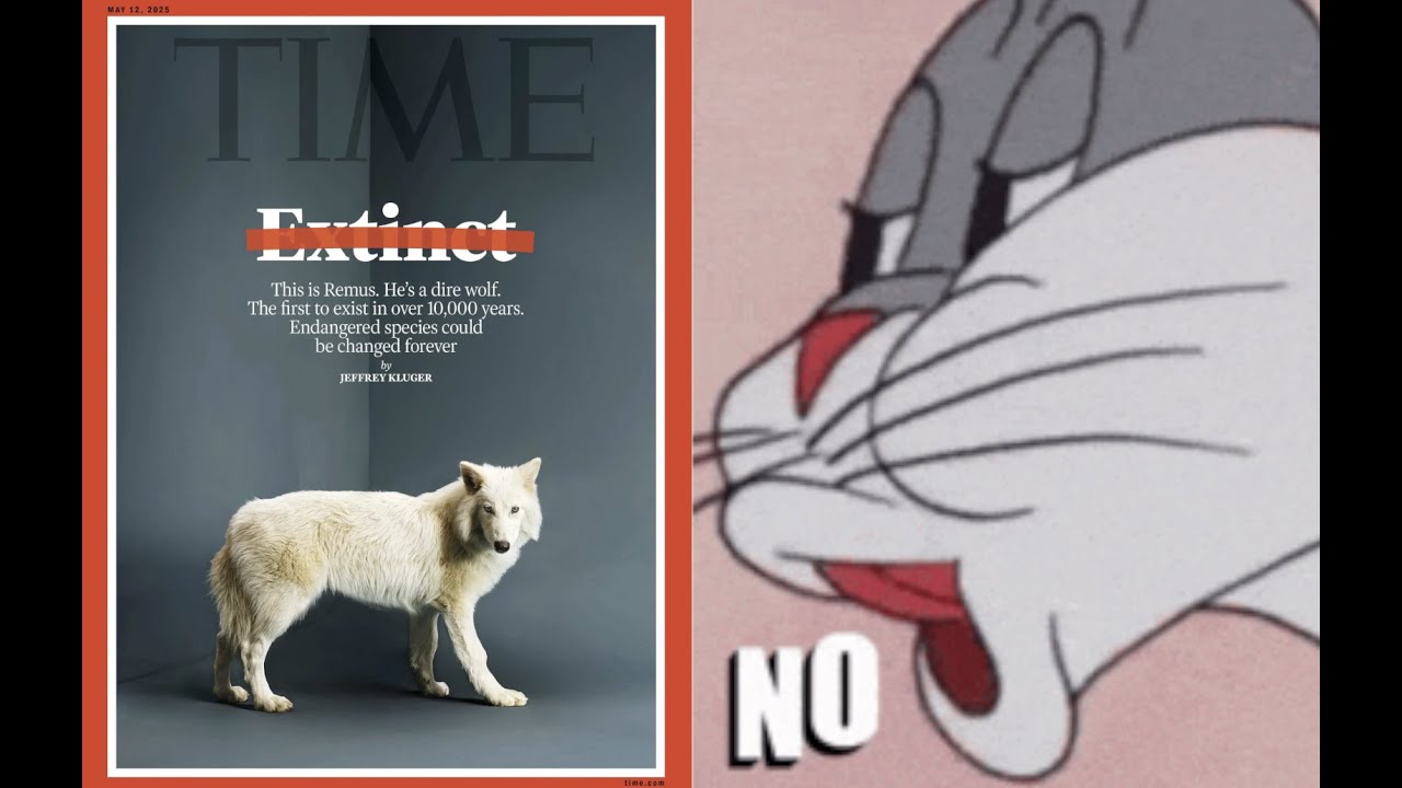 Did they actually bring back the Dire Wolf? - YouTube