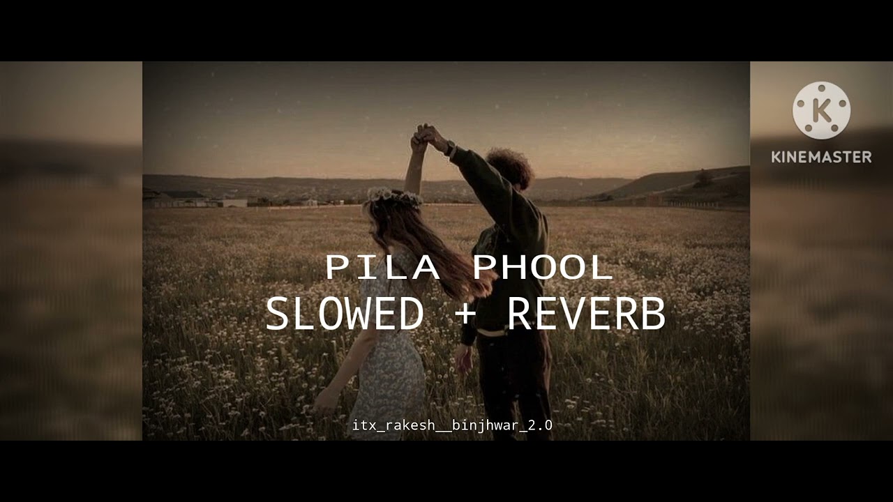 pila phool new version lofi song slowed + reverb..... #cgsong #love # ...