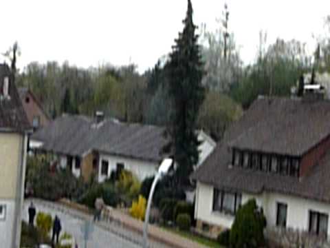 Bäume fällen 003