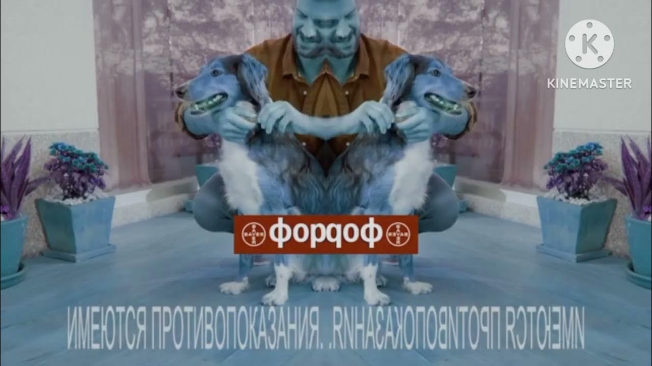 Ошейник Форесто - Реклама Effects - YouTube
