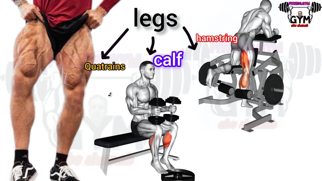 Target all _leg muscles _with just three exercises_legs_ workout at gym ...