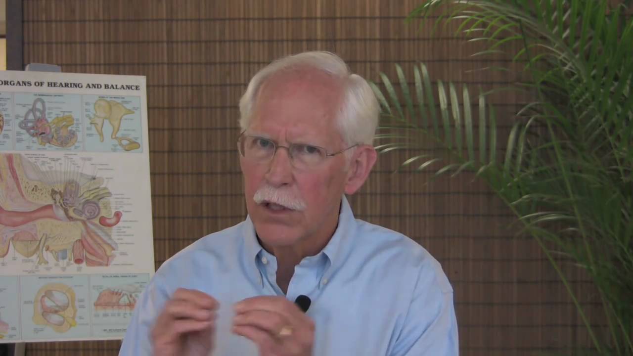 Ron Minson, M.D. & Edward Hallowell, M.D.: "How the Focus System (iLs ...