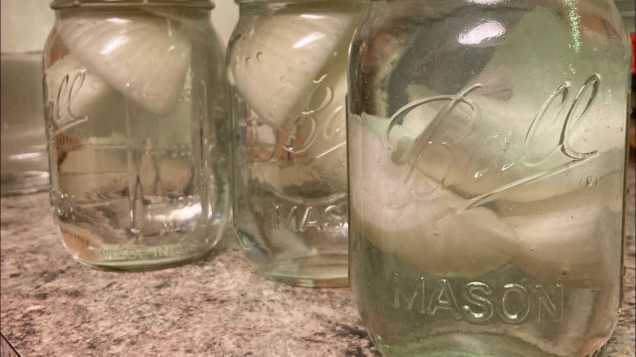 Water is God. Water Connects us All - YouTube