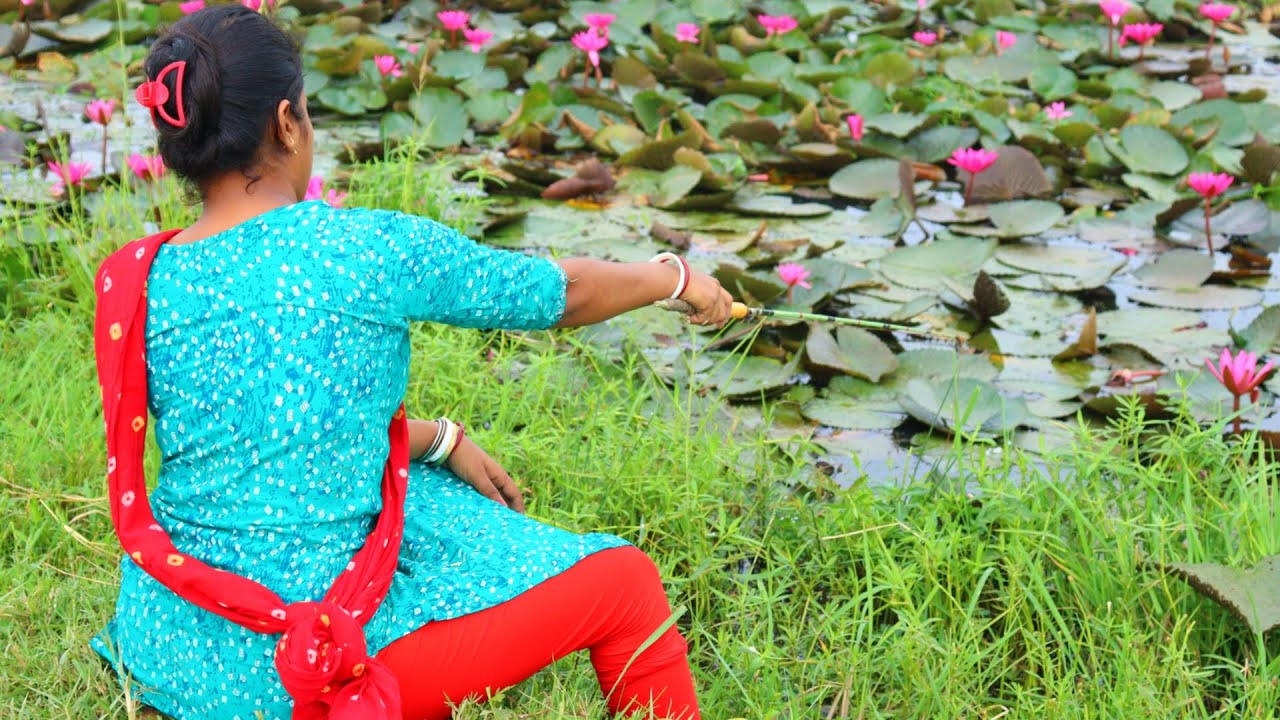 Fishing Video |🎣🐬 Village Lady Hook Fishing In Our Village Louts Pond ...