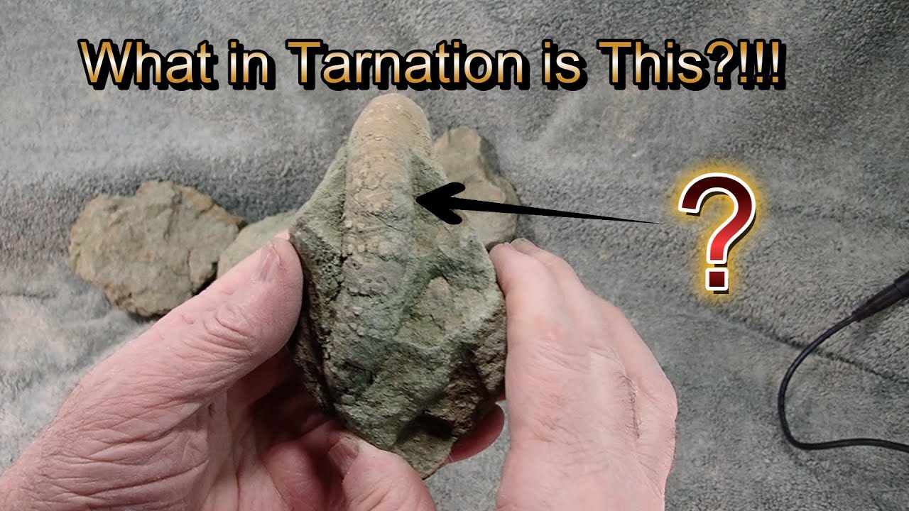 What in TARNATION is this Fossil???!!! - YouTube