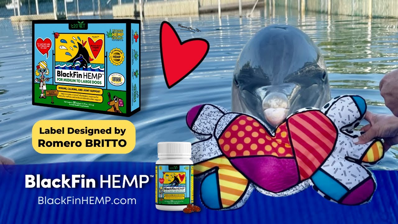 Make a splash and join the BlackFin HEMP "Happy Hemp Movement" - YouTube