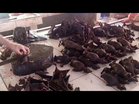 Jalan2 di Pusat Kuliner paling Ekstrim di Indonesia, Pasar Beriman ...