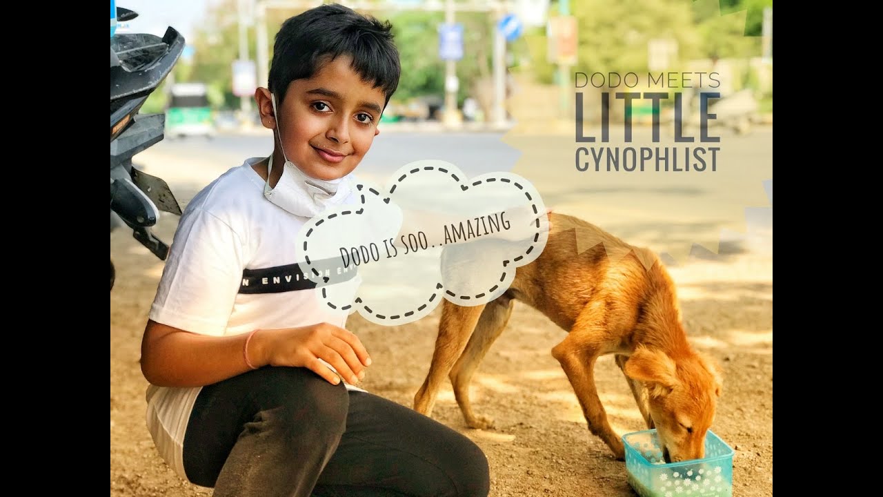 How Dodo Meets The Little Cynophilist - Full Story - YouTube