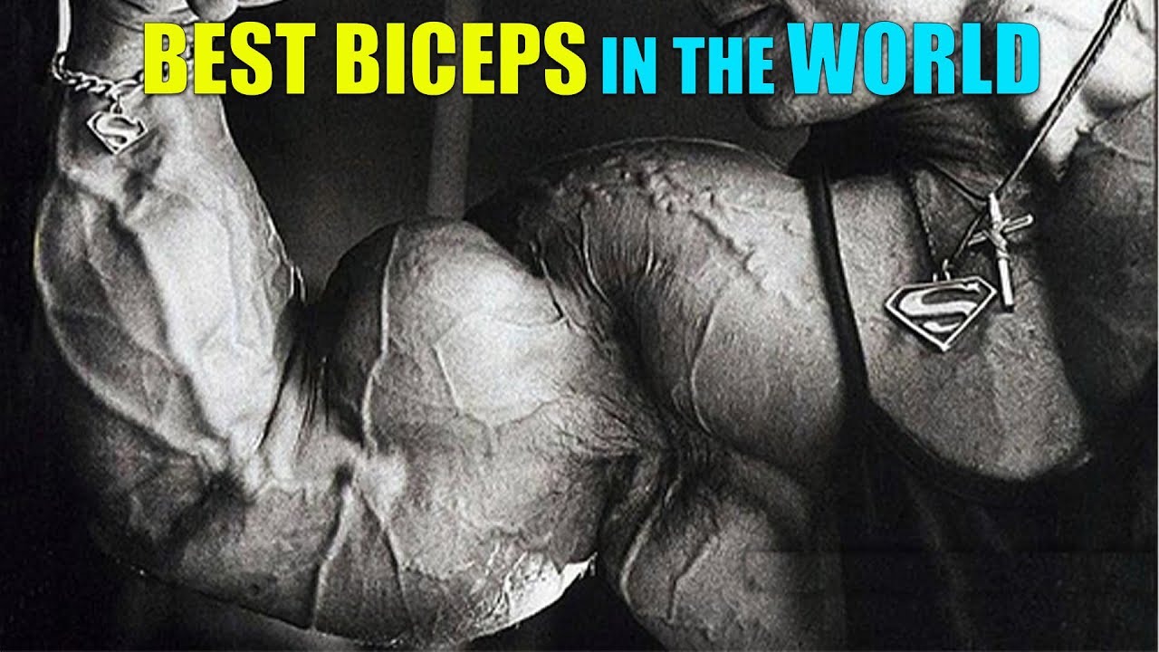 Best Biceps In The World