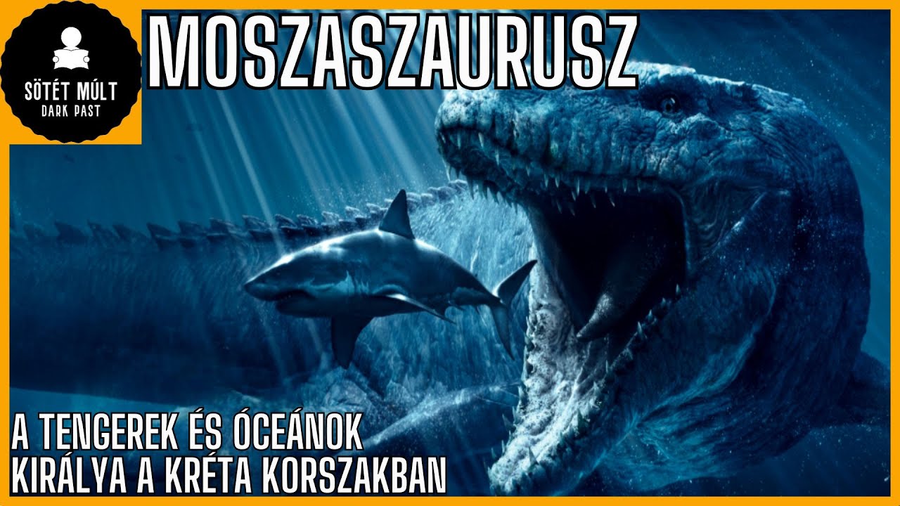A dinoszauruszok korában élő tengerek királya. Moszaszaurusz röviden ...