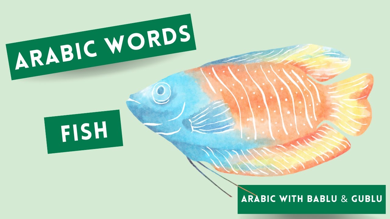 Arabic words for FISH - YouTube