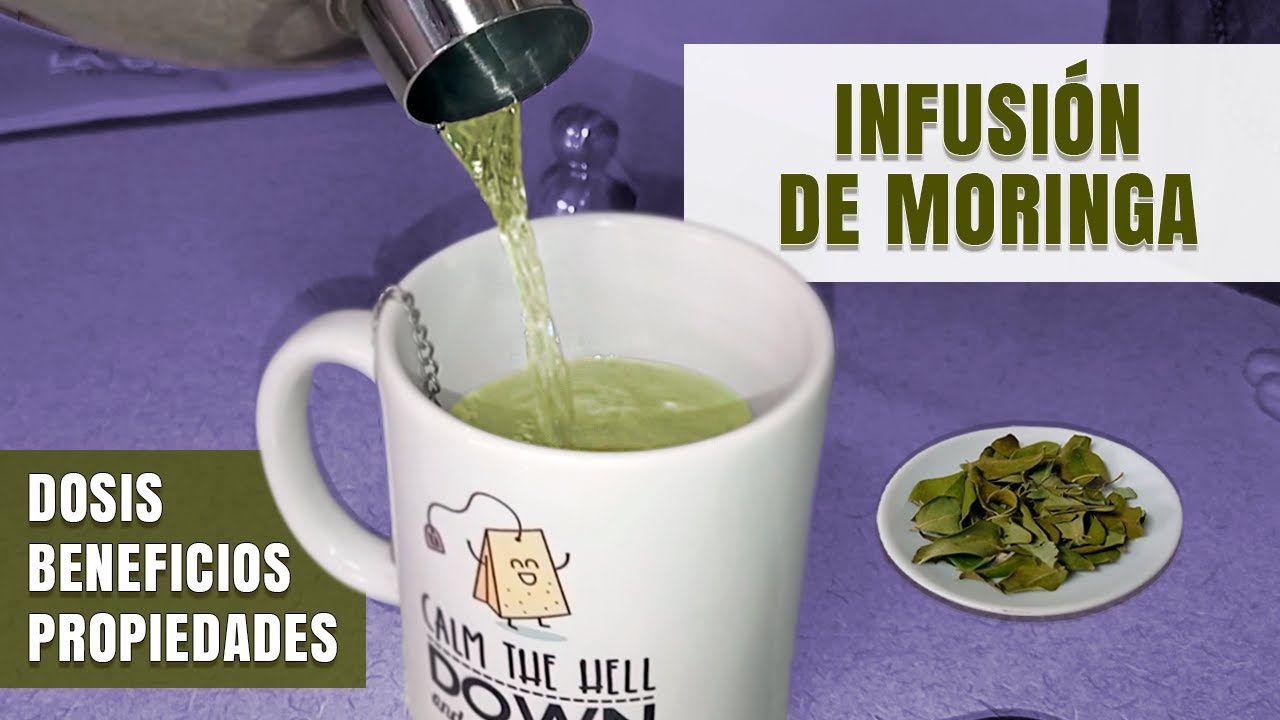 Infusión de Moringa | beneficios, dosis y cómo prepararla | un té con ...