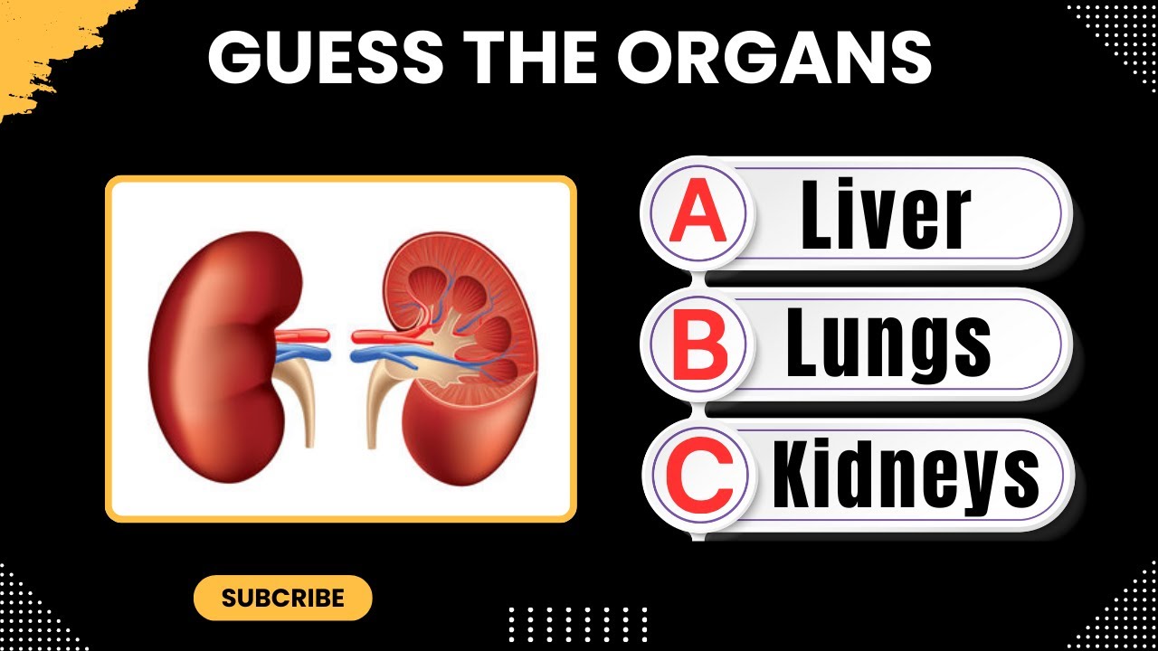 How Many Human Body Parts Can You Guess?| Parts of body name - YouTube