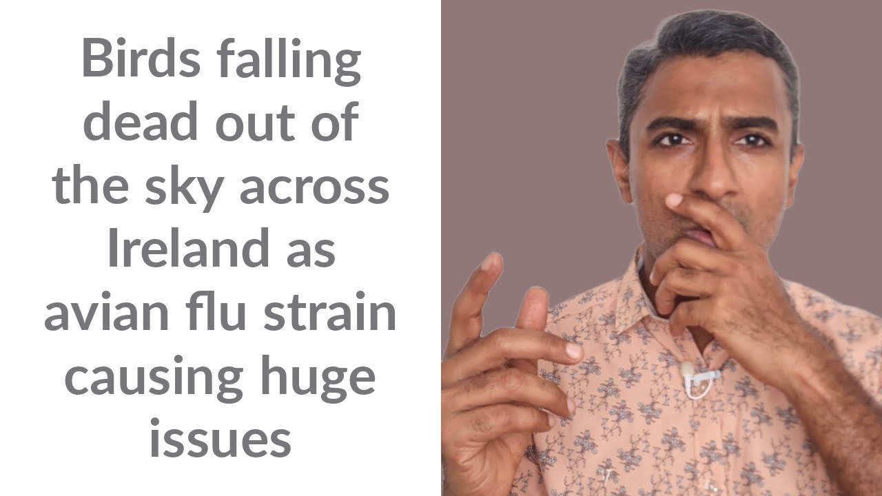 Birds falling dead out of the sky across Ireland as avian flu strain ...