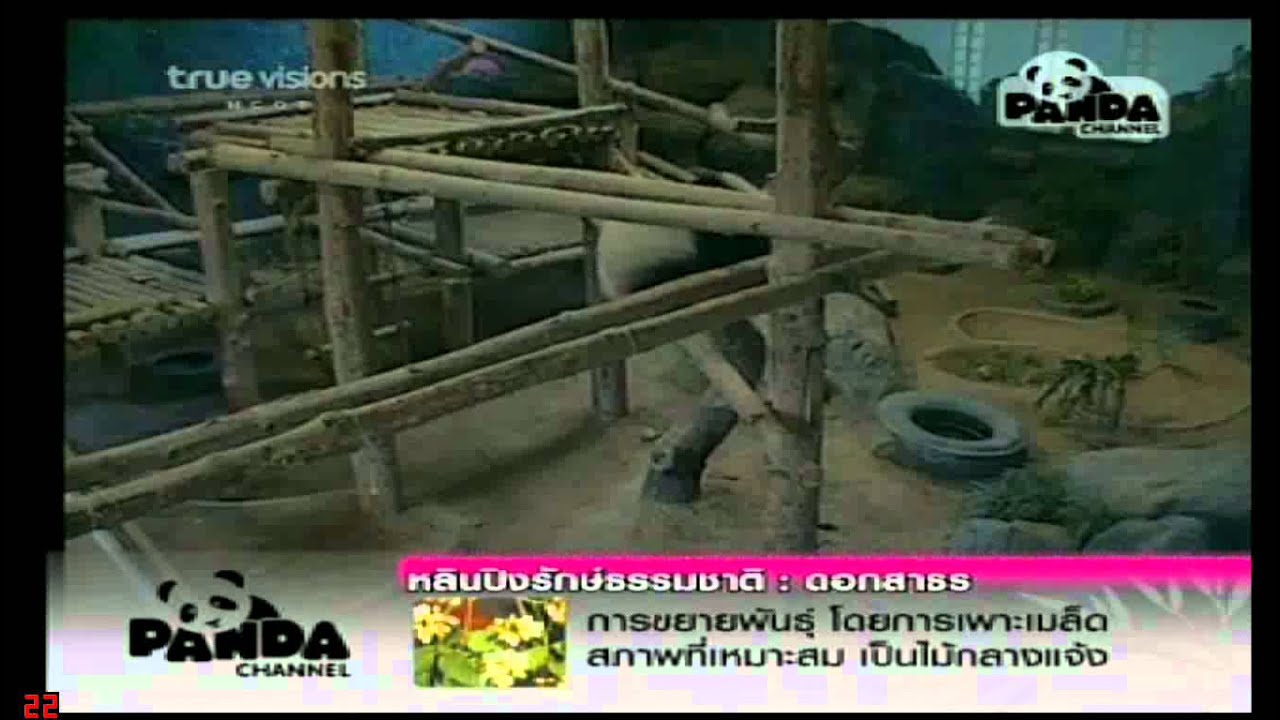 Lin Ping 2012-09-03 16-52-12-19.avi - YouTube