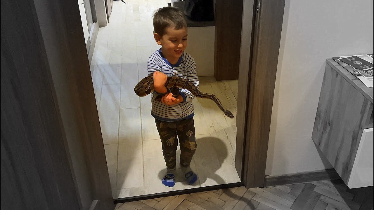 Our Ball Python: A Kid-Friendly Pet! 🐍 - YouTube