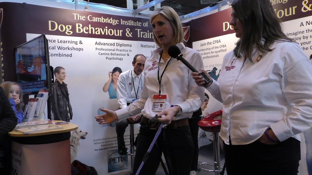 JO CROFT MA. FITTING A GENCON HEADCOLLAR - DOG TRAINING - YouTube