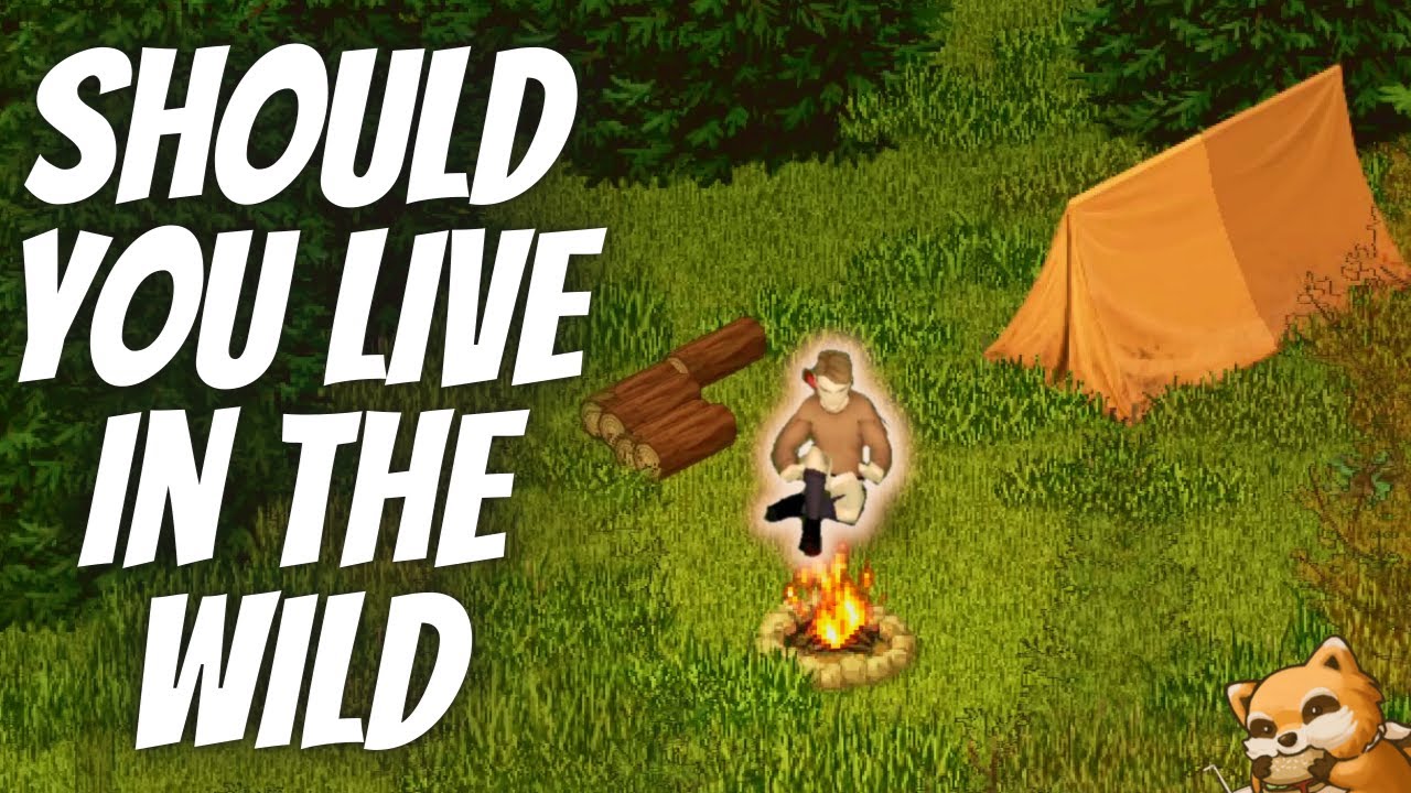Should You Live in the Forest in Project Zomboid - YouTube