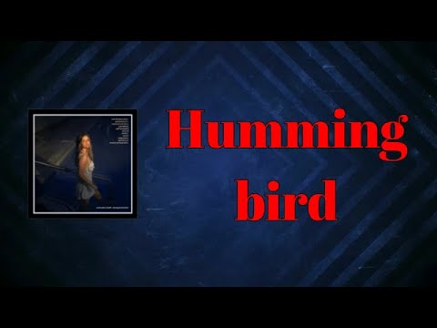 Maren Morris - Hummingbird (Lyrics) - YouTube