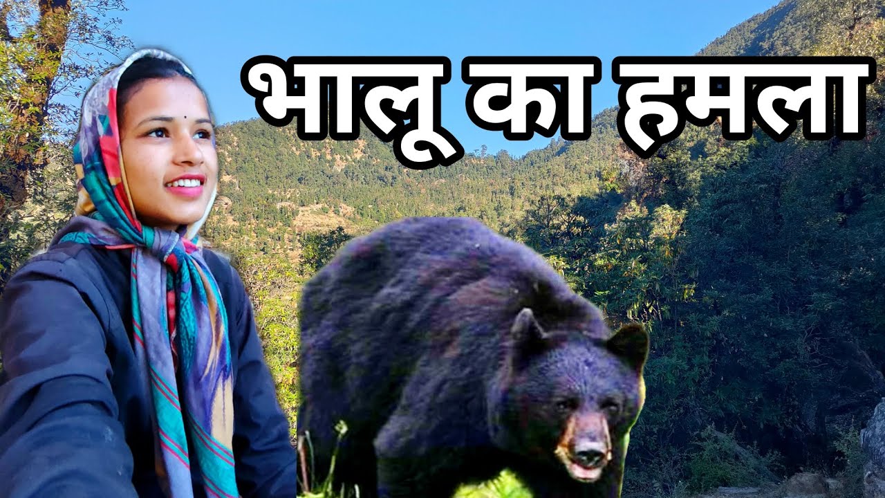 पैर कांपने लग गए बहुत ll अब क्या होगा ll pahadi lifestyle vlog ll ...