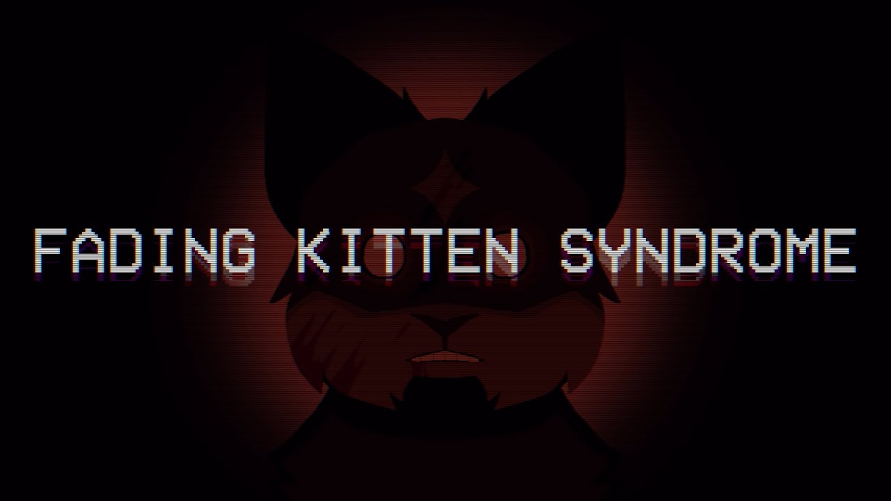 [2023 REMAKE] FADING KITTEN SYNDROME - BROKENSTAR PMV [WARRIOR CATS ...