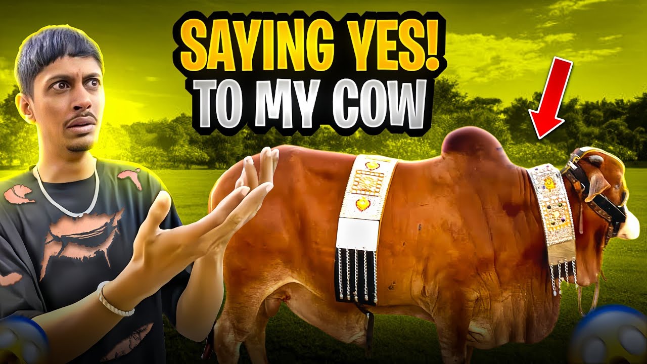 Saying YES To My COW for 12 Hours! 😱😱 DOOGSLIFE - YouTube