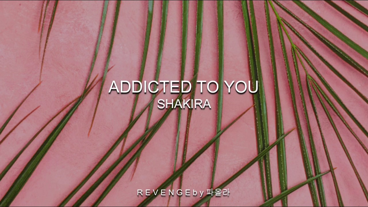 ADDICTED TO YOU | SHAKIRA | LYRICS - YouTube