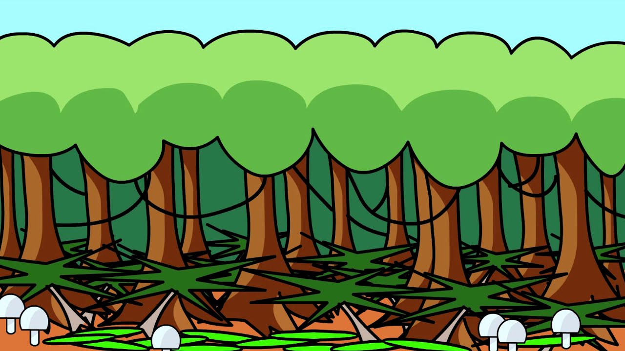 La foresta pluviale - YouTube