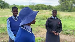 Zimbabwe and South African Sotho Comparison 