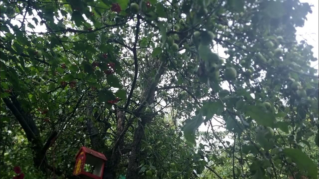 Благодать Божия,Личная Сила,Черная Благодать и охота на бесов. - YouTube