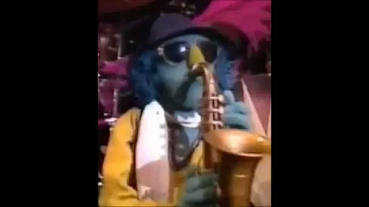 Muppet Character themes: Zoot - YouTube