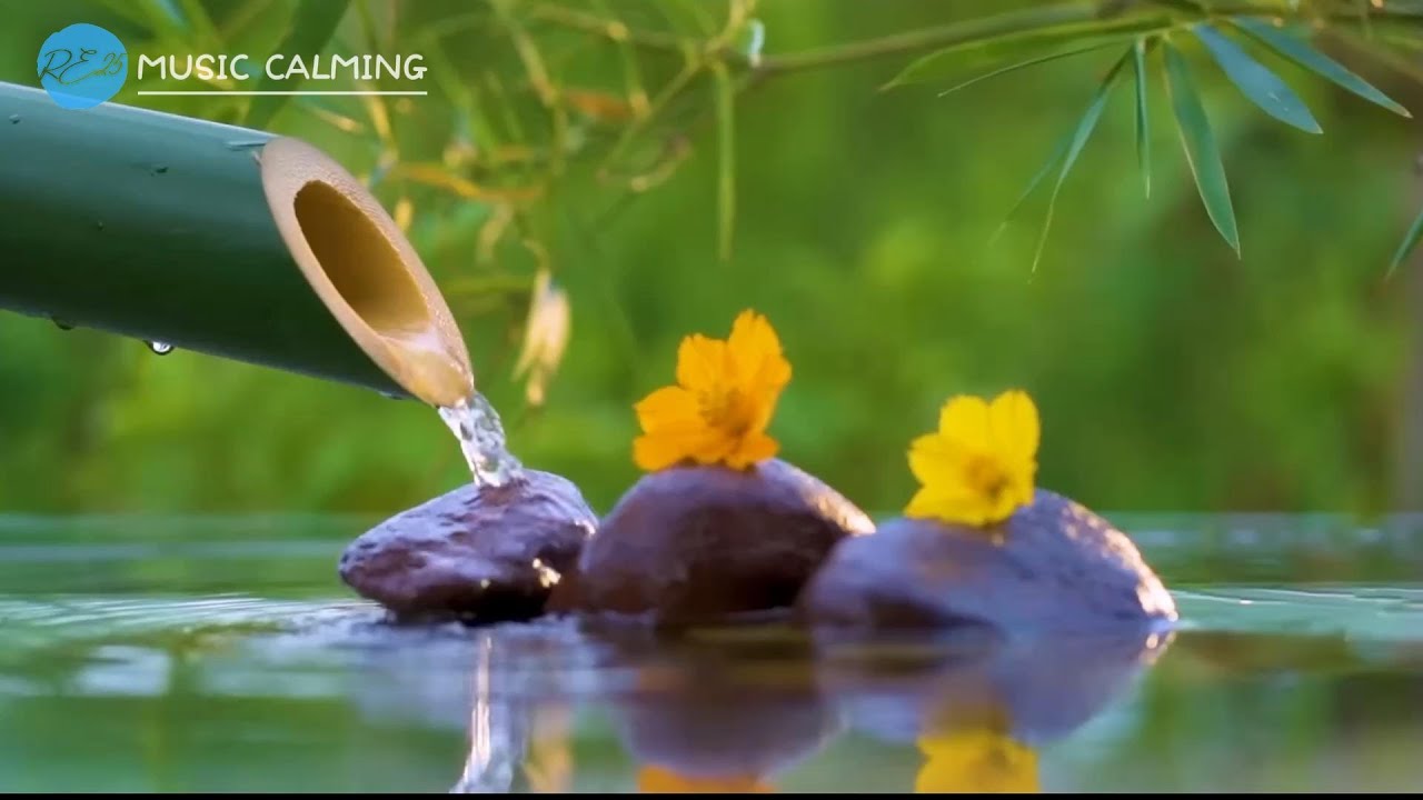 3 hours of relaxing sleep music + water sounds 🎵 meditation music ...