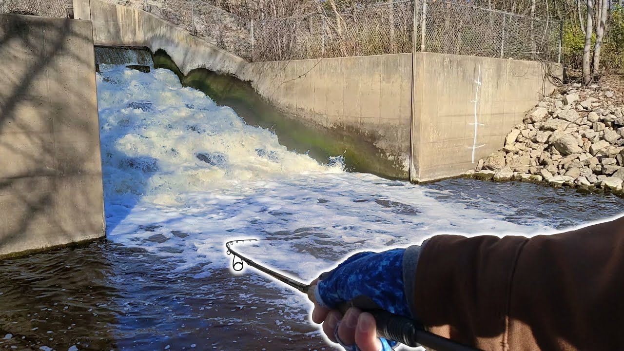 Winter Fishing at a Spillway - YouTube