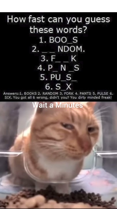 Wait a minute | #waitaminute #algorithmictrading #shortsfeed #viralshorts #algorithm # ...