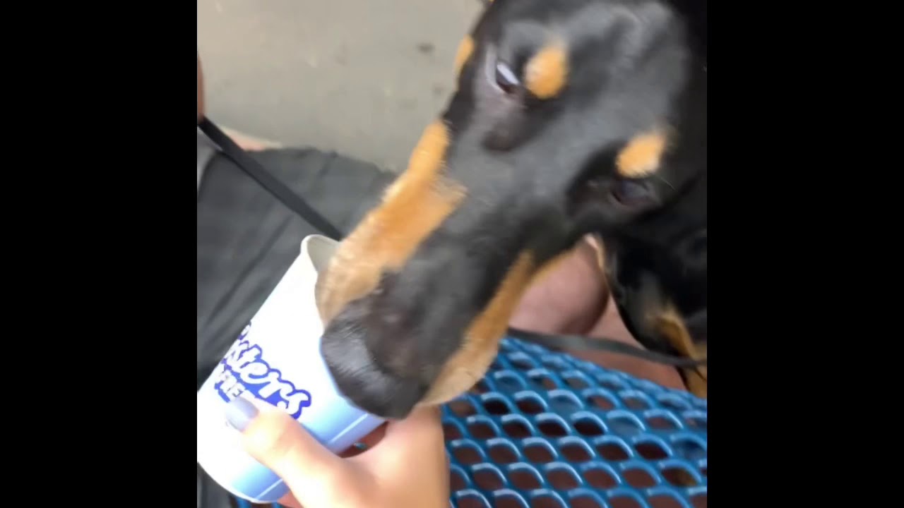 Smiley Riley - YouTube