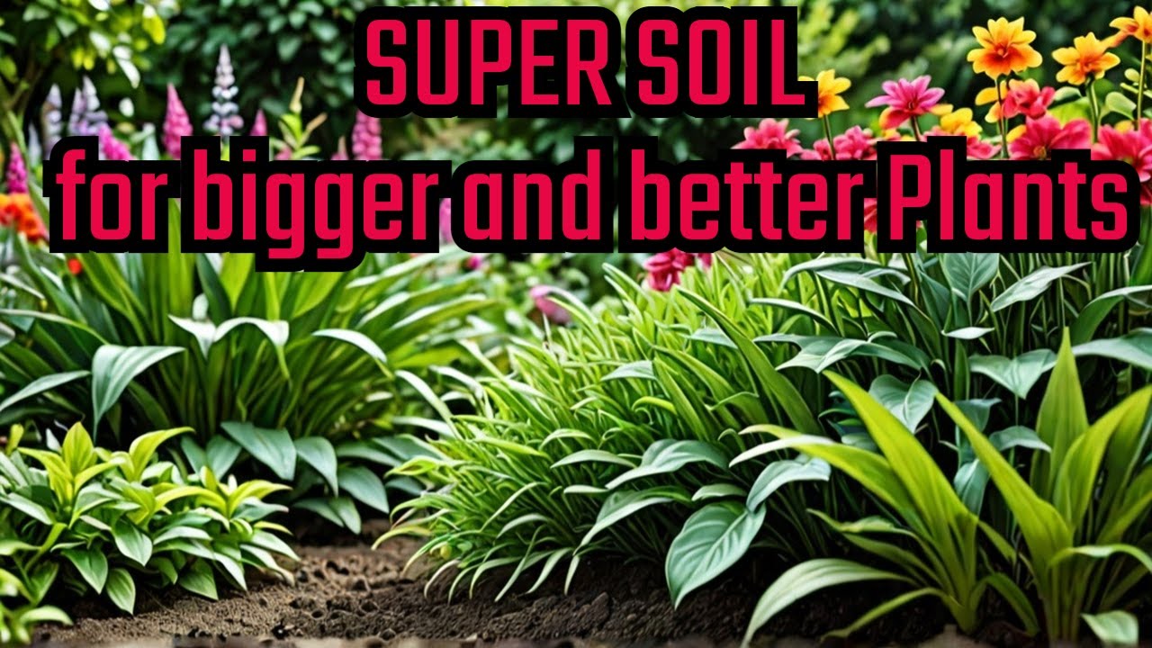 This SUPER SOIL makes plants grow FASTER - YouTube