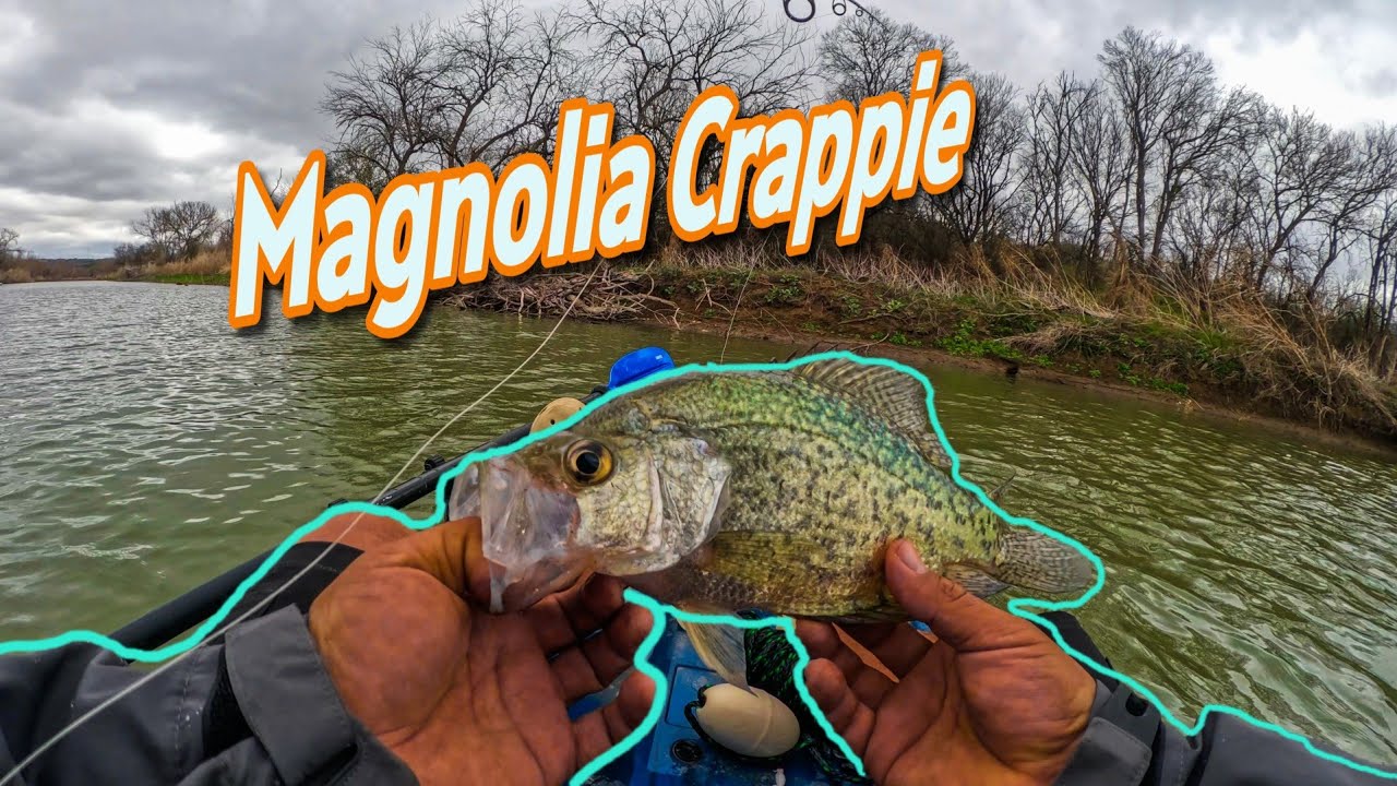 Kayak Fishing in the middle bosque🔥🔥🔥 - YouTube