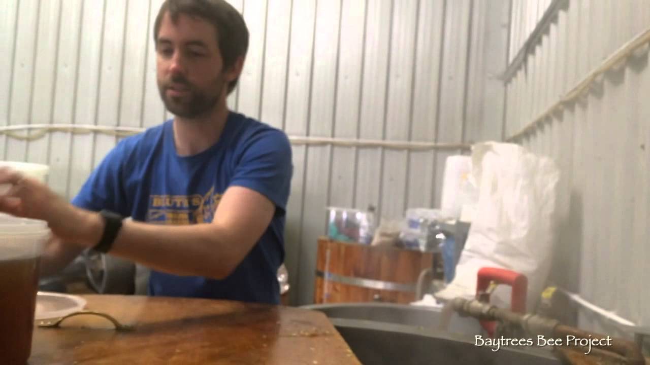 A Manchester Honey & Elderflower Beer for the Summer - YouTube