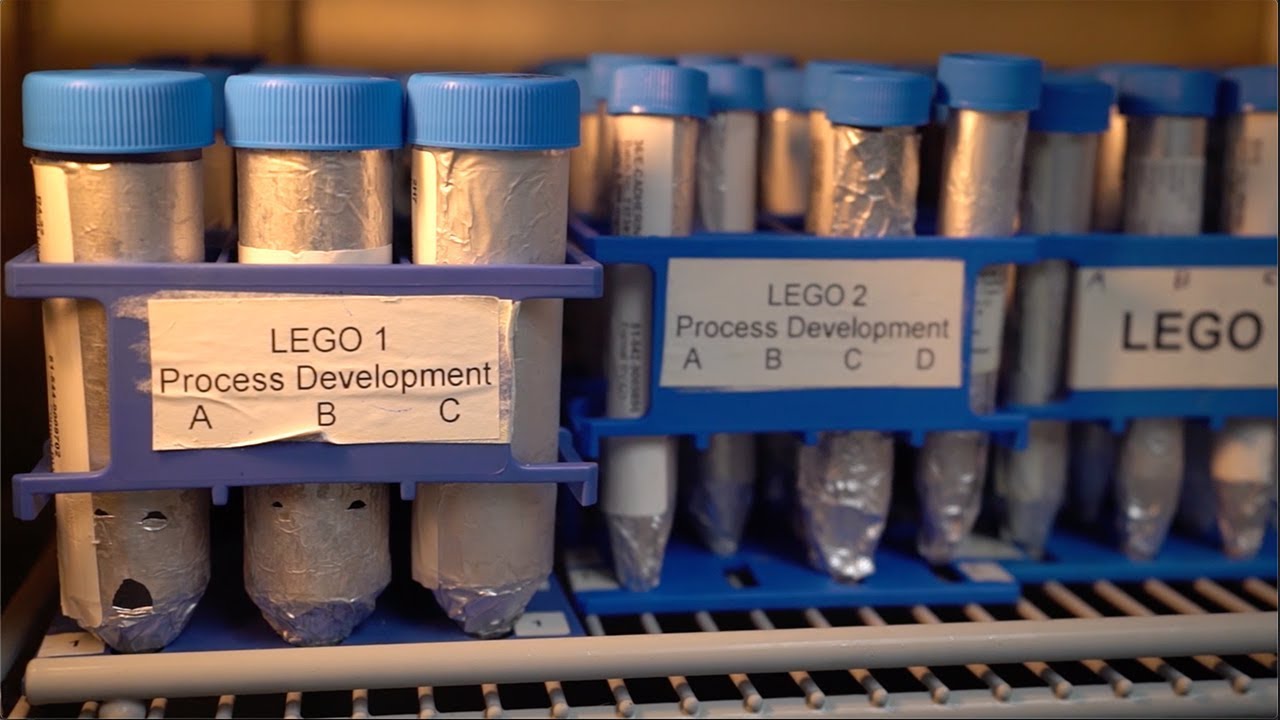 BD Biosciences: Manufacturing High-Quality Antibodies - YouTube