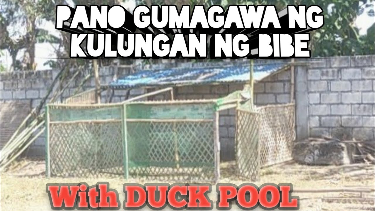 Pano gumawa ng KULUNGAN ng BIBE with DUCK POOL - YouTube