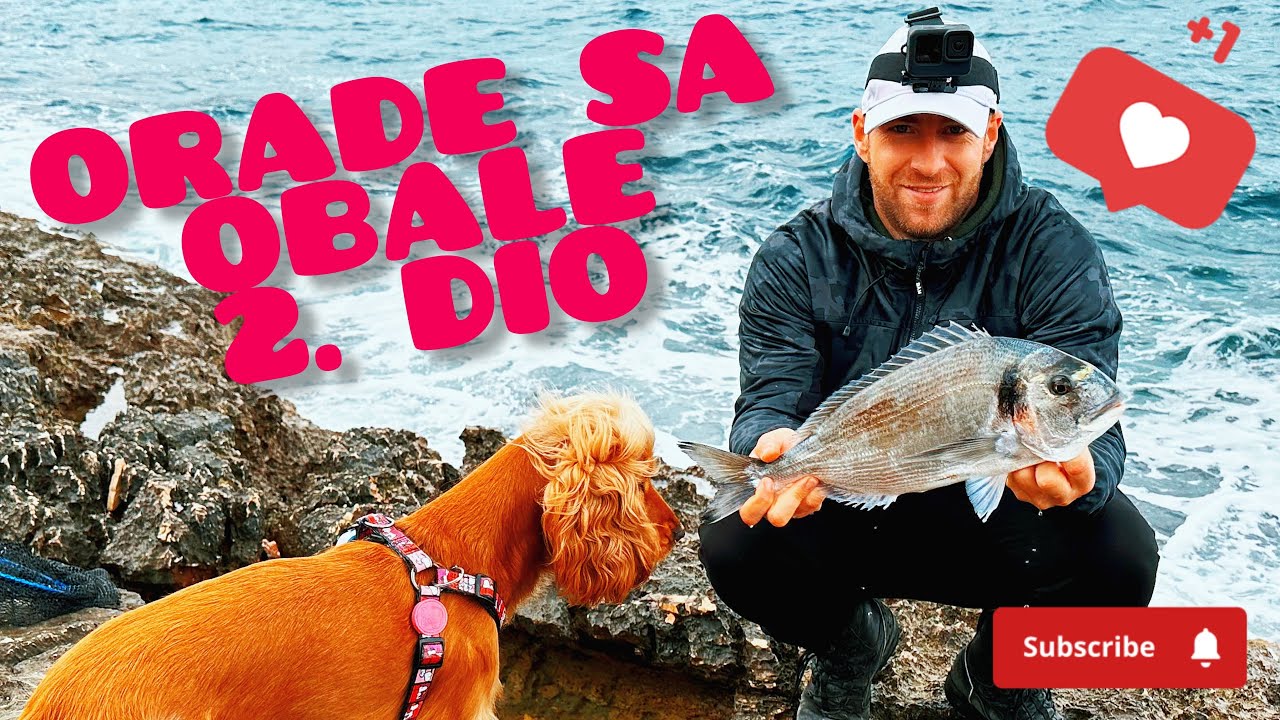 Orade sa obale part 2 - YouTube