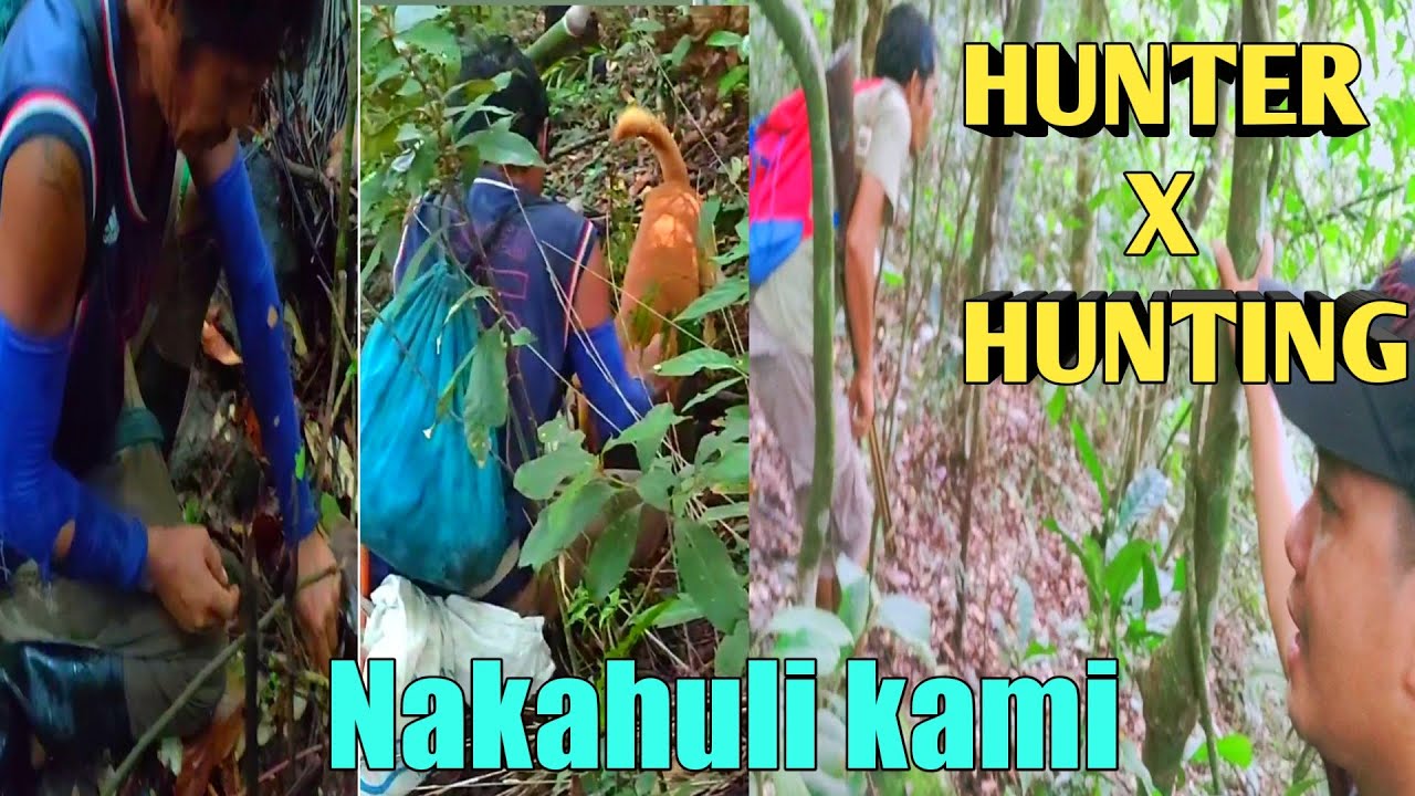 Forest Hunting | Pagpapandaw ng mga bitag sa bundok | Part1 - YouTube